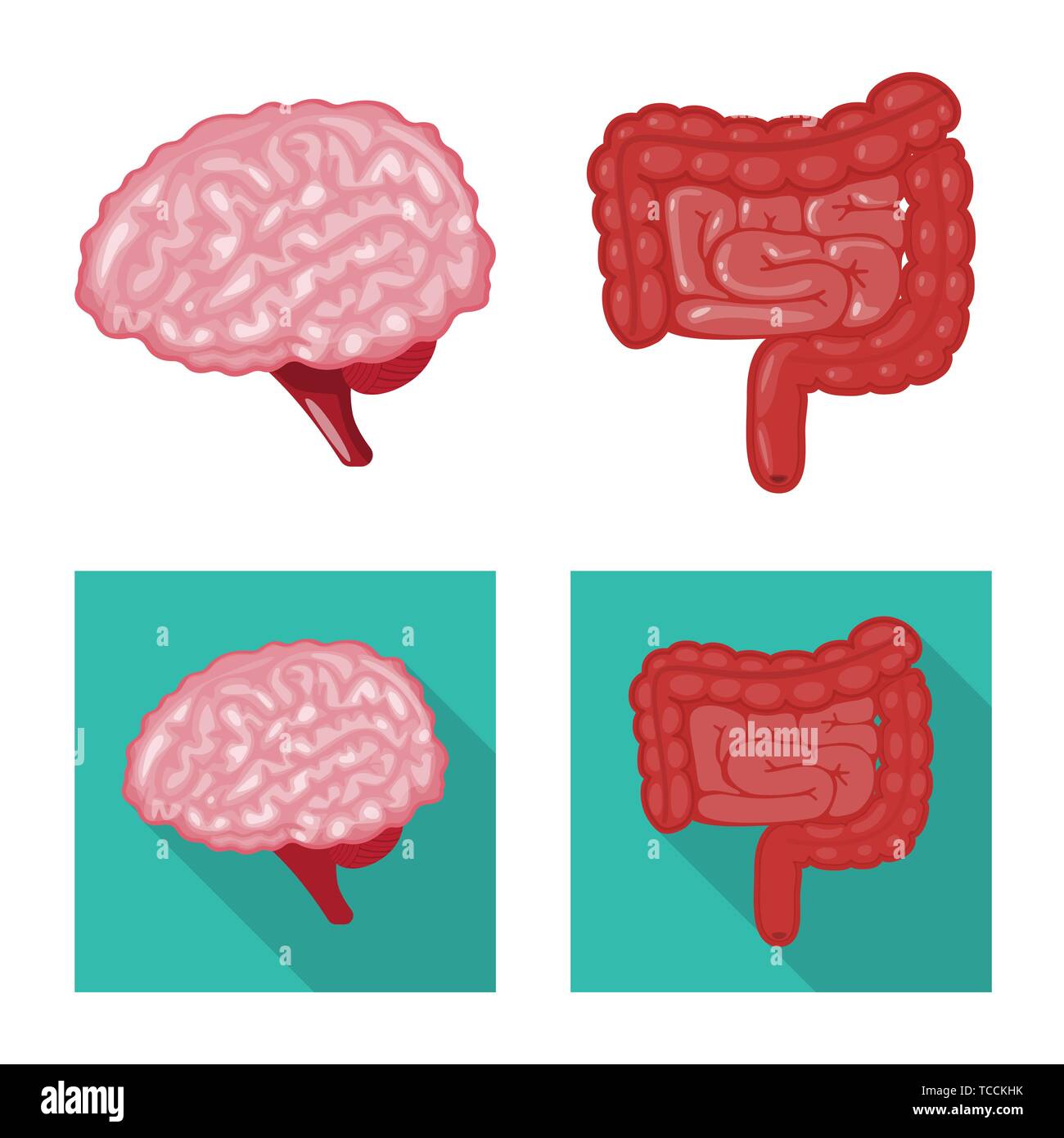 brain,mind,intelligence,intestine,science,gastrointestinal,psychology ...