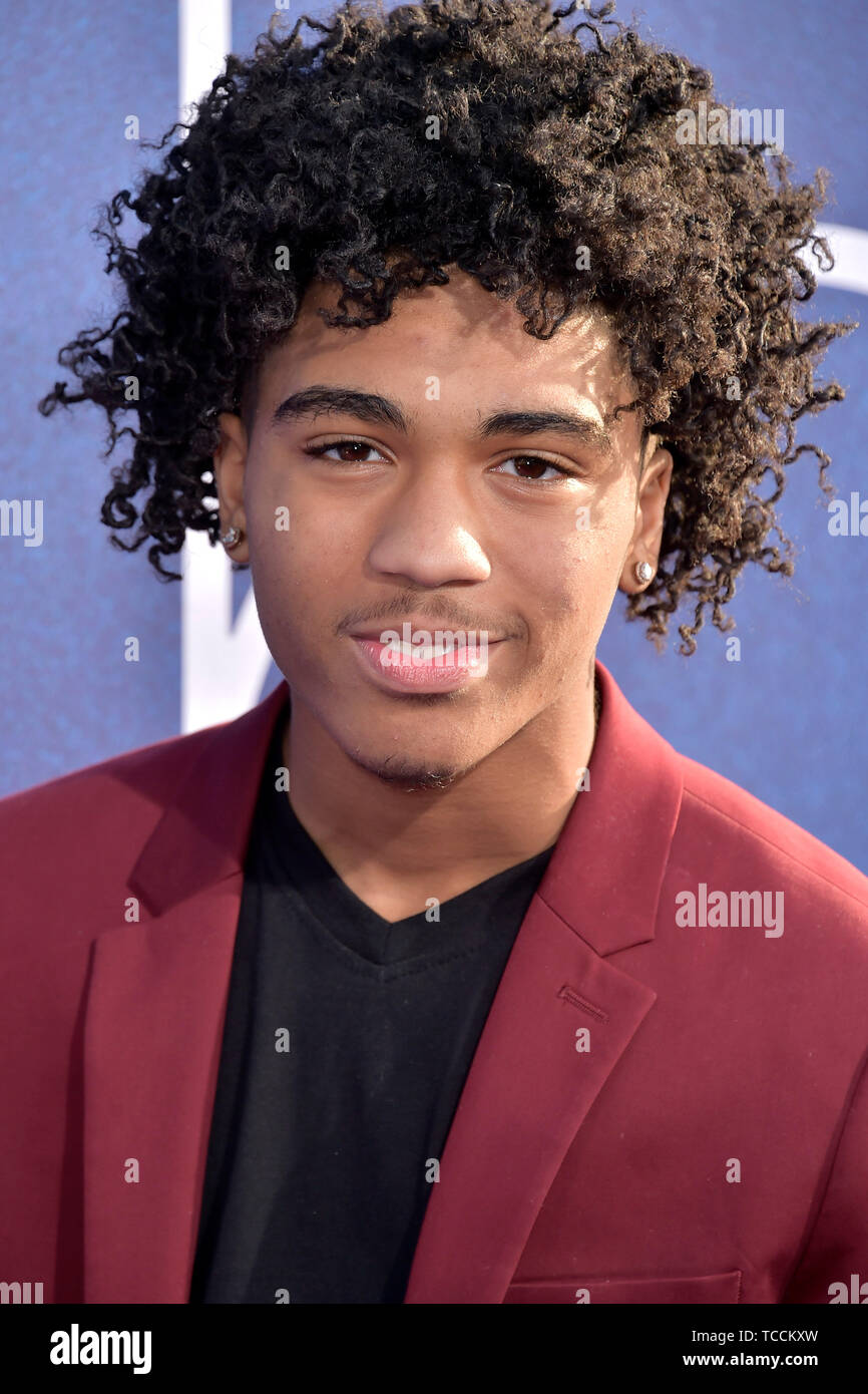 Tristan Timmons attending the HBO TV-Series 'Euphoria' at Cinerama Dome ...