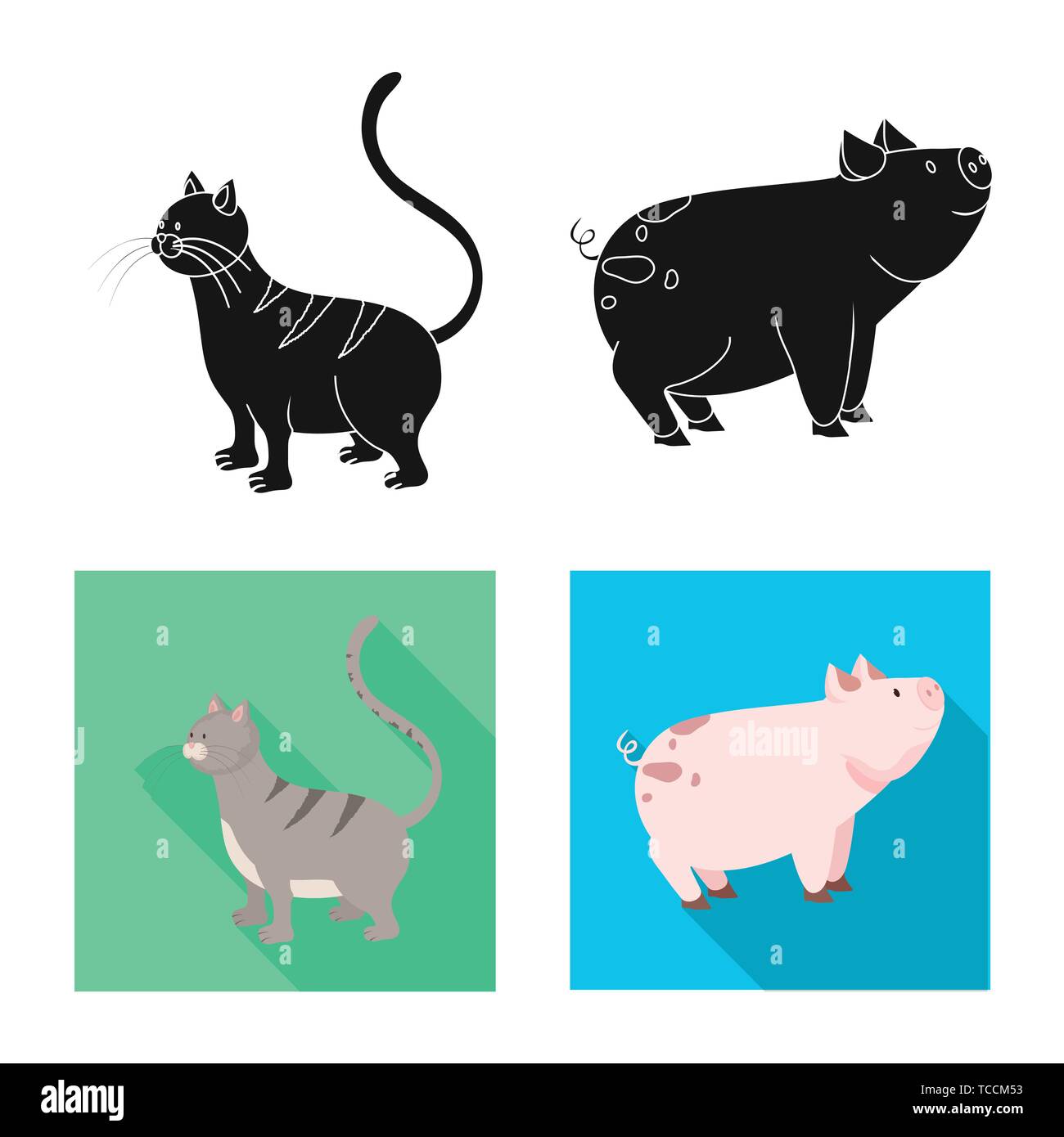 cat,pig,kitten,animal,pet,pork,meat,cute,piglet,different,tail,breed ...