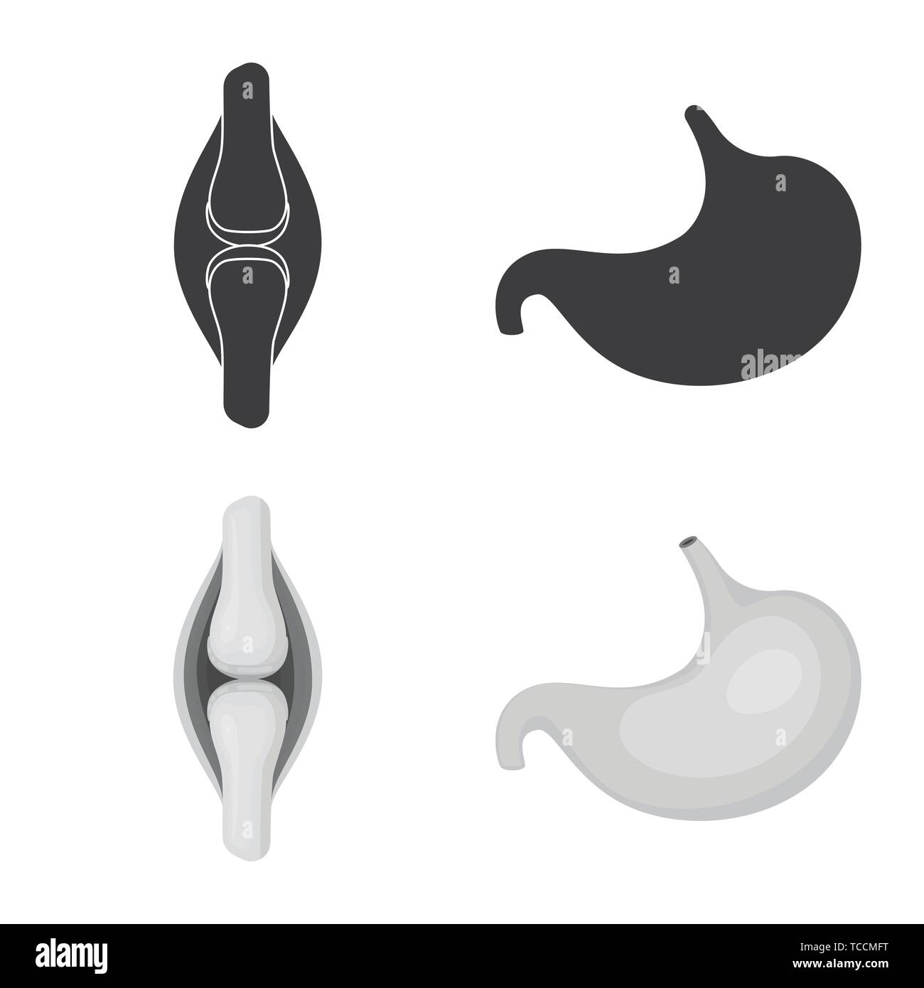bone,stomach,tendon,digestive,ligament,gastric,injury,pain,muscle,body ...