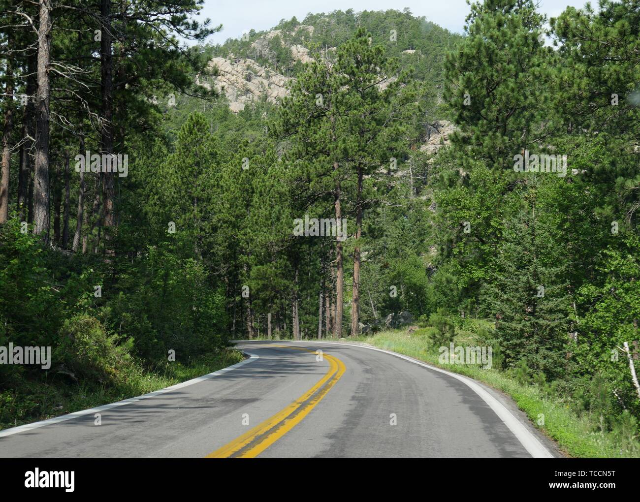 Twists and turns along the smooth paved road along Needles Highway, one ...