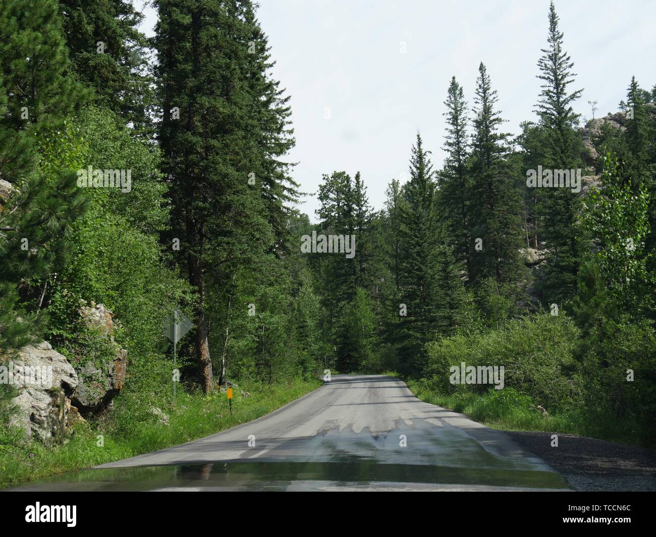 The Needles Highway snakes around Custer State Park, South Dakota Stock ...