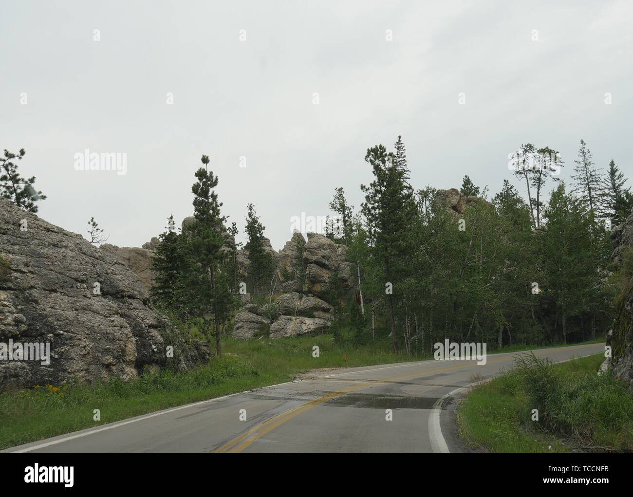 Pleasant view at Needles Highway, Custer County, South Dakota Stock ...