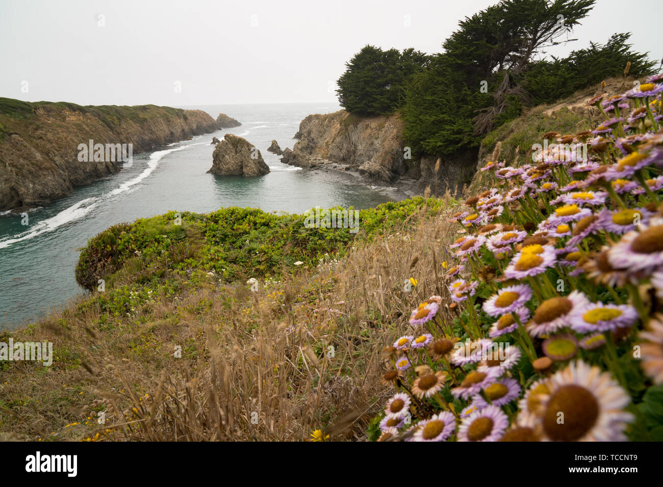 Ocean bay landscape with cliffs and islands Stock Photo - Alamy