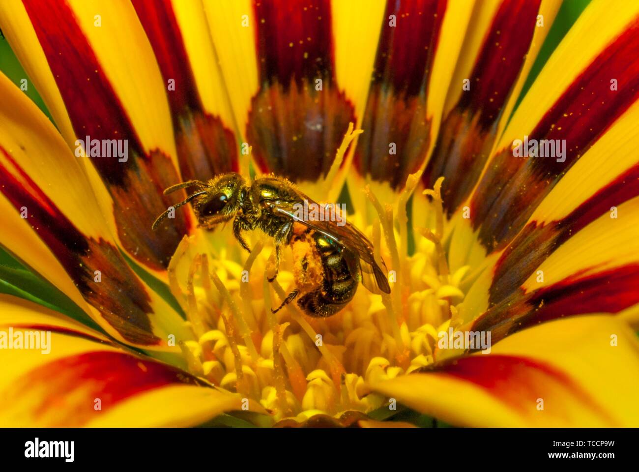 Center Of Interest Photography Examples