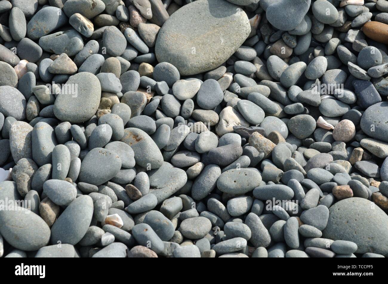 Pebble ground hi-res stock photography and images - Alamy