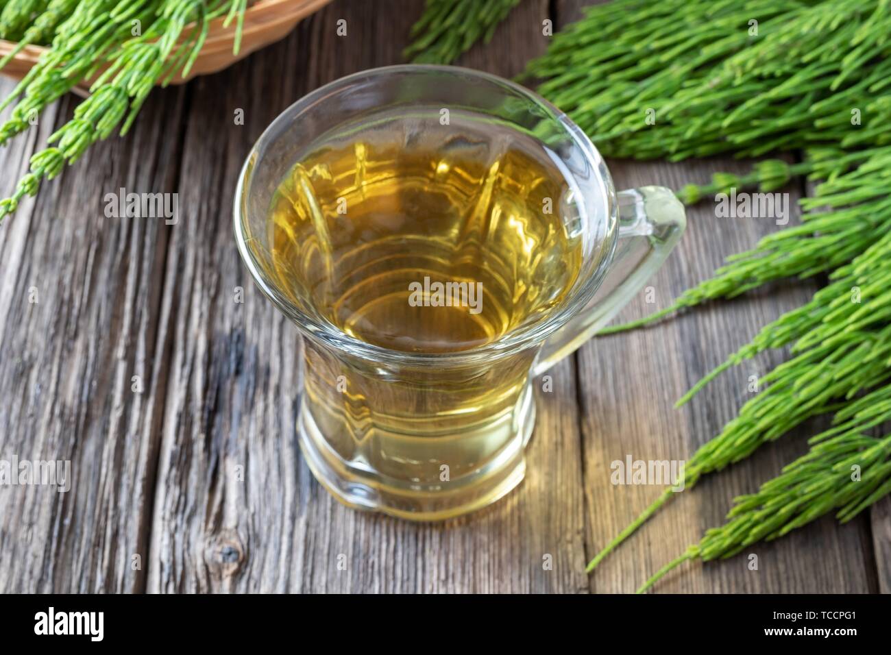 Horsetail tea equisetum arvense hi-res stock photography and images - Alamy
