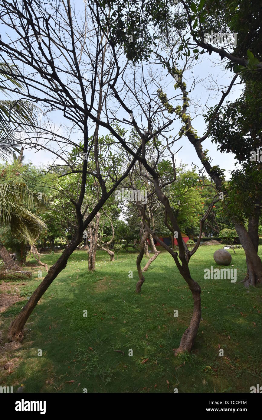 Garden of the Science City, Kolkata, India Stock Photo - Alamy