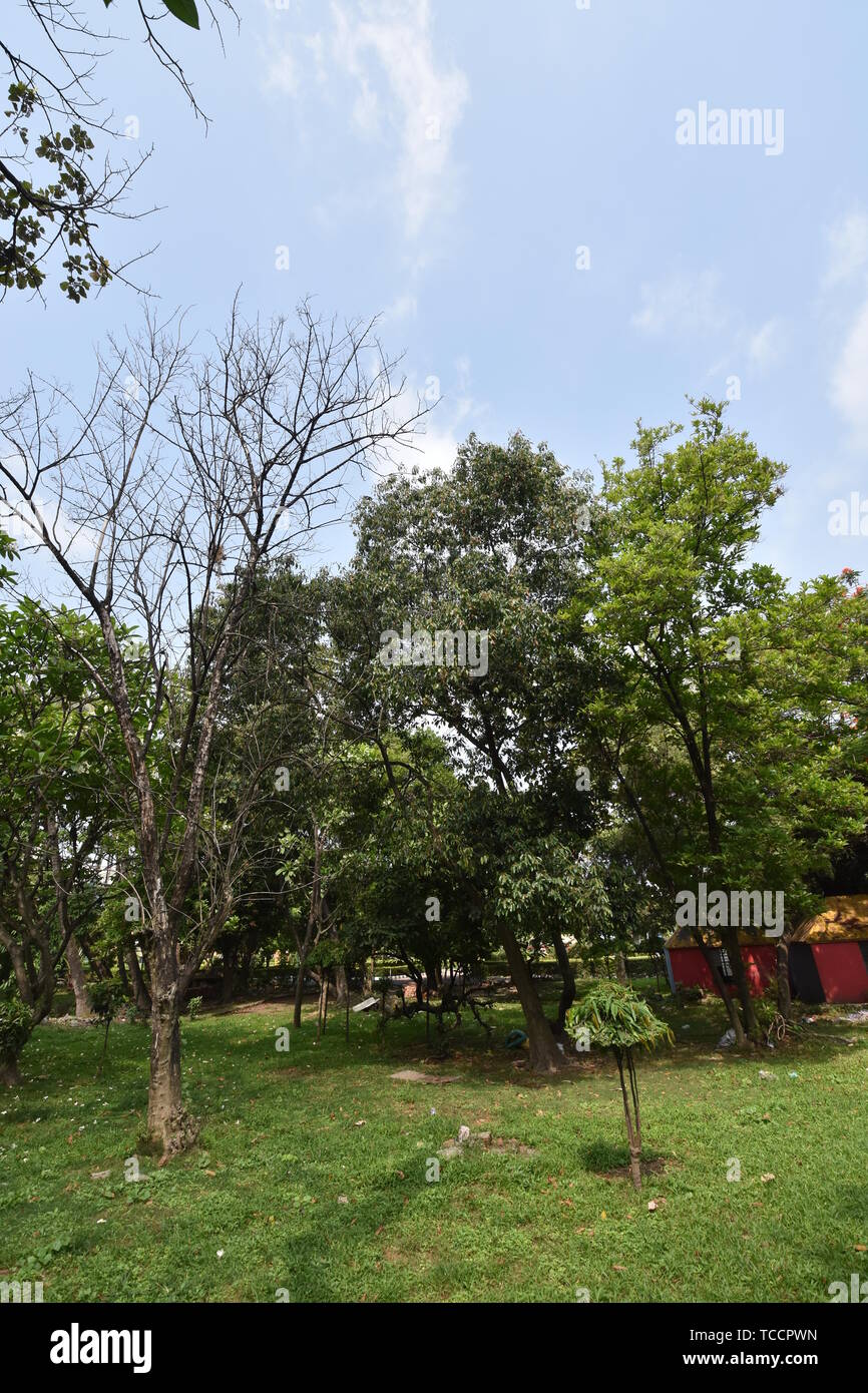 Garden of the Science City, Kolkata, India Stock Photo - Alamy
