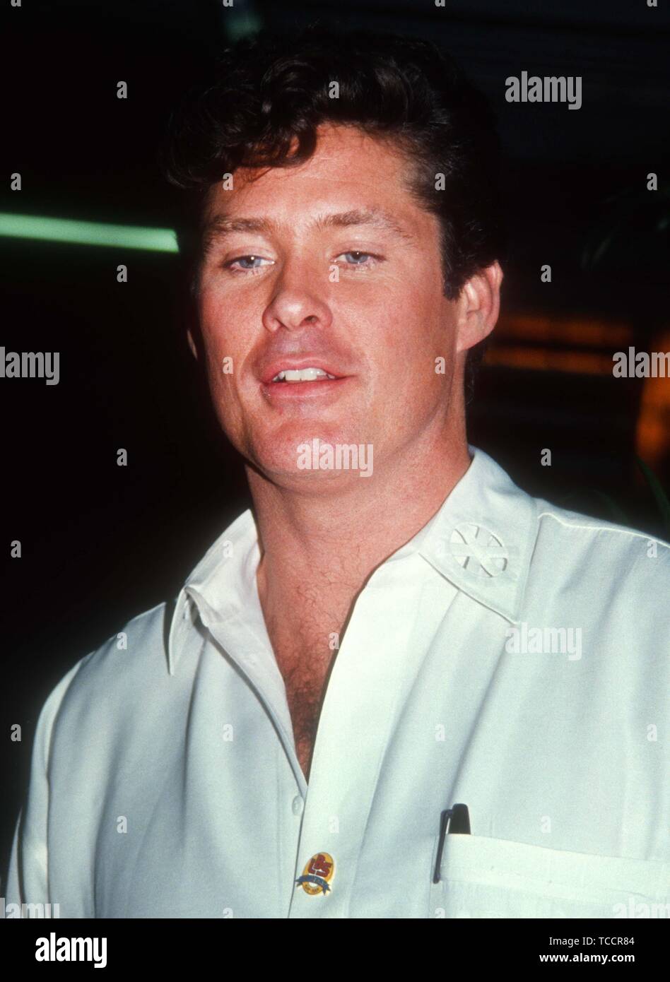 Celeb david hasselhoff hi-res stock photography and images - Alamy