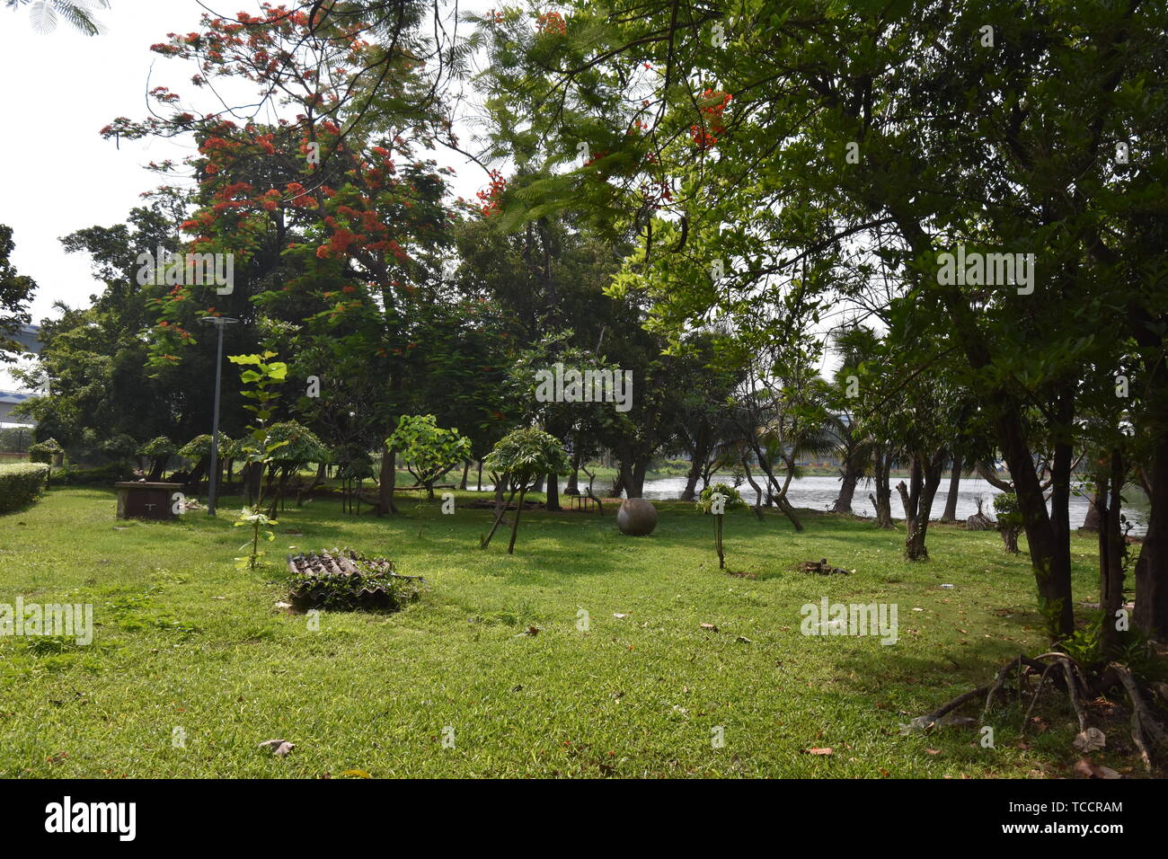 Garden of the Science City, Kolkata, India Stock Photo - Alamy