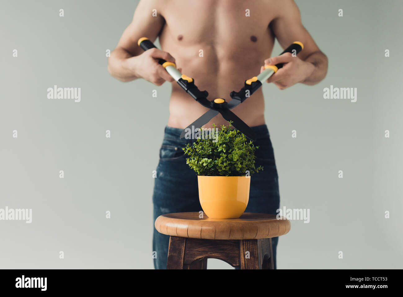 Partial view of shirtless man cutting green plant with big scissors ...