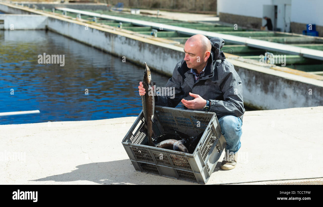 Portrait of man fish farm worker demonstrating sturgeon Stock Photo - Alamy