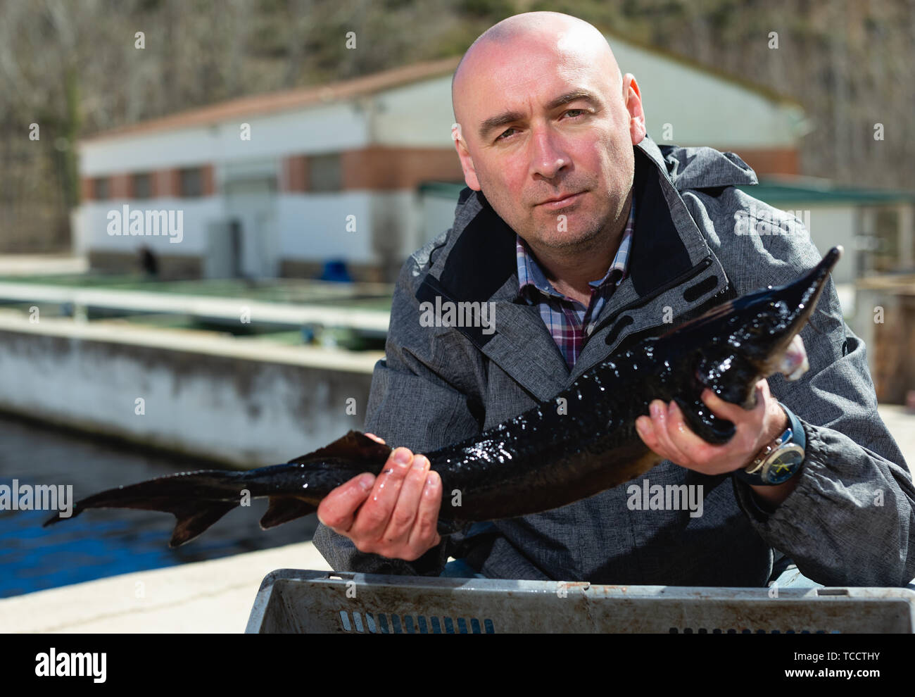 Portrait of successful owner of sturgeon farm showing freshly caught ...