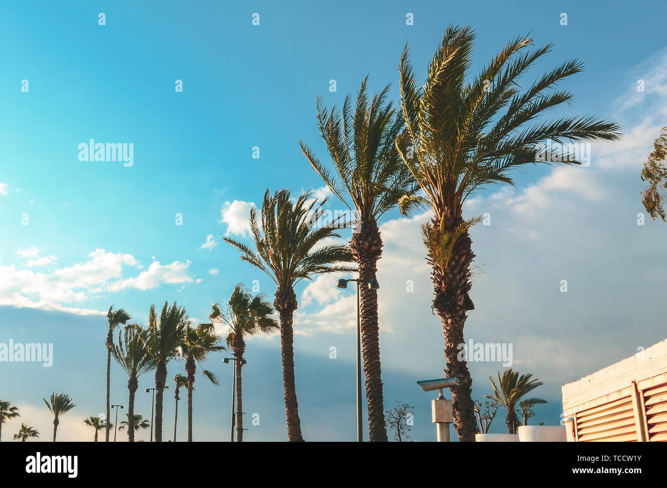 Before typhoon hi-res stock photography and images - Alamy