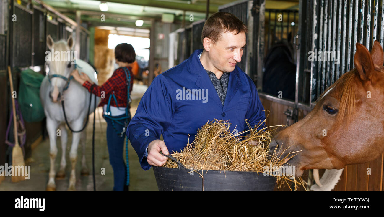 Positive male horse farm worker feeding horse with hay at stable Stock ...