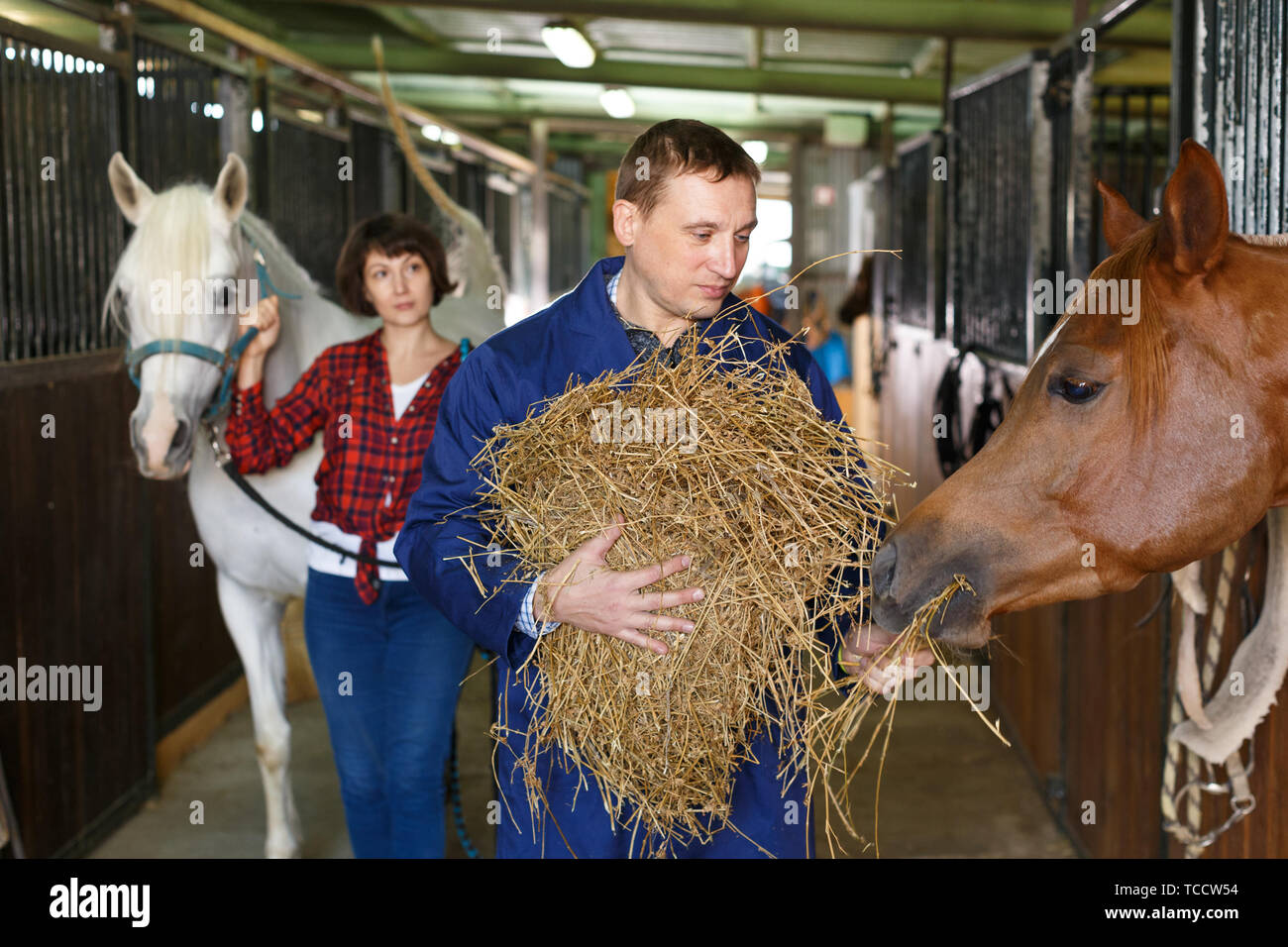 Man preparing ride horse in hi-res stock photography and images - Alamy