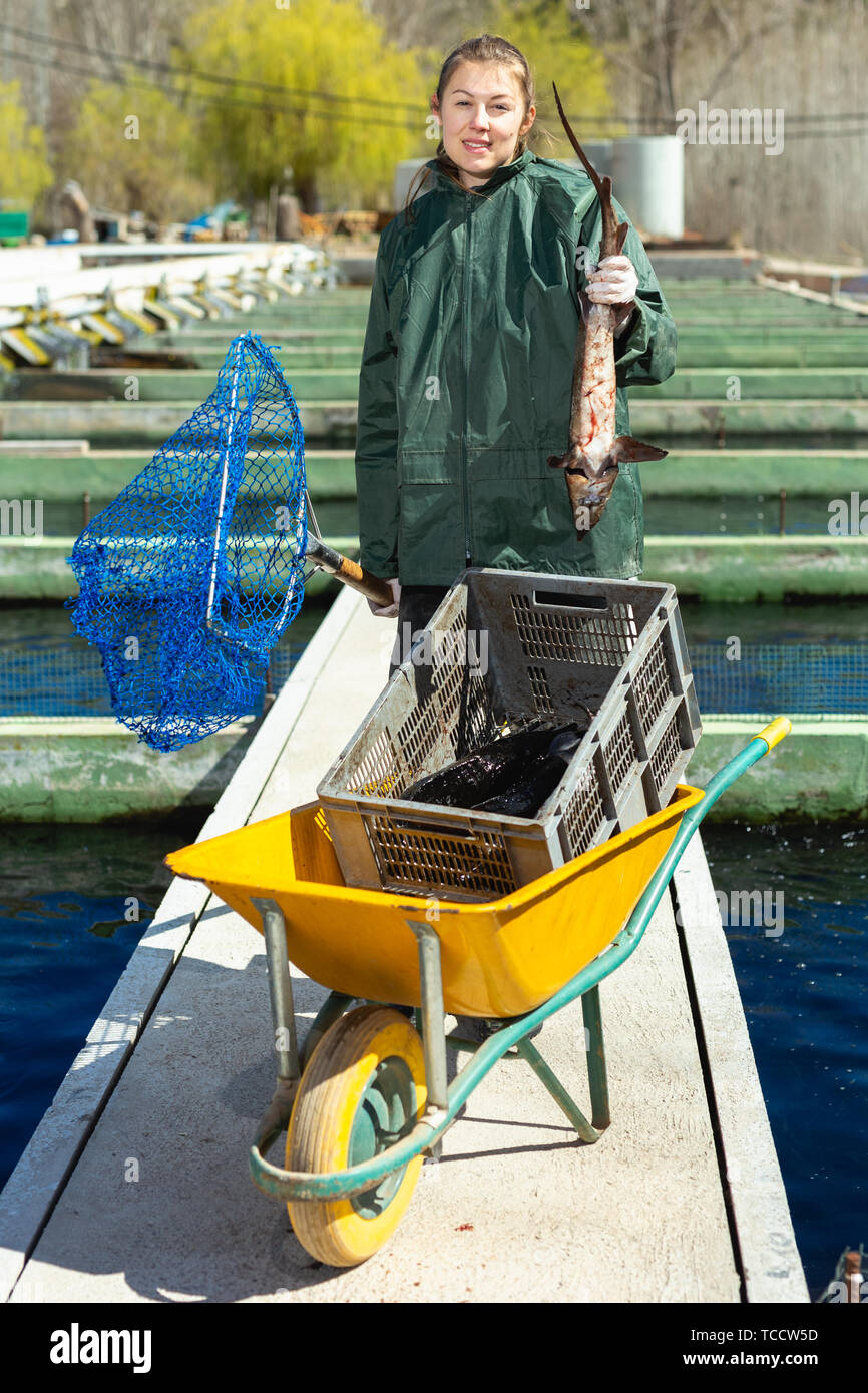 Portrait of woman fish farm worker demonstrating sturgeon Stock Photo ...