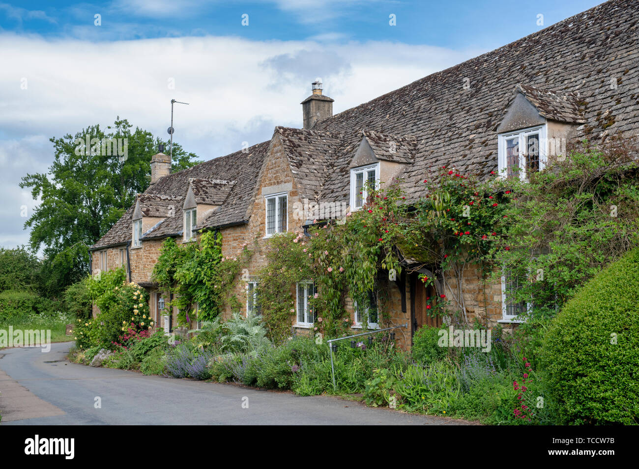 Cottage gardens of cotswolds hi-res stock photography and images - Alamy