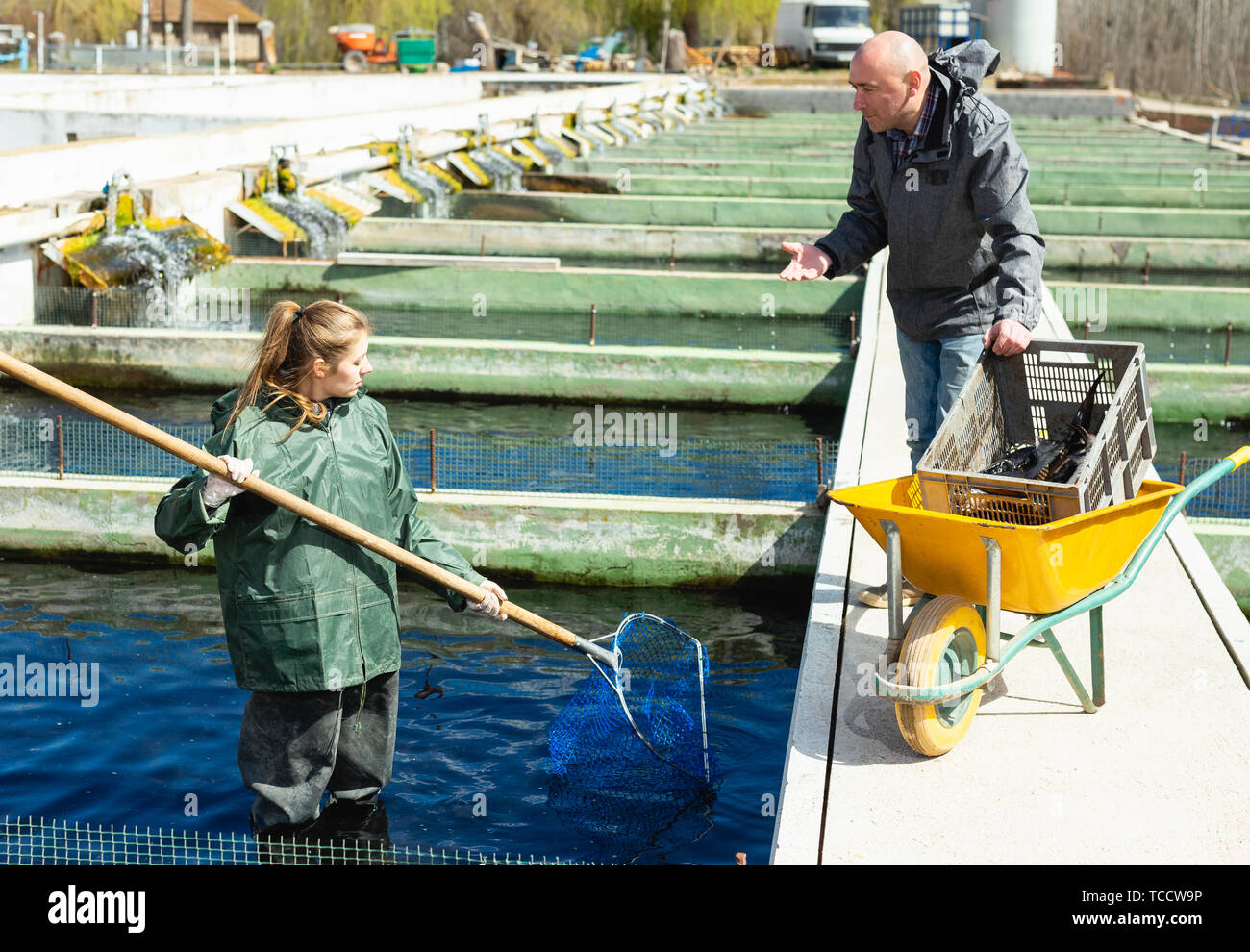 Pools workers hi-res stock photography and images - Alamy