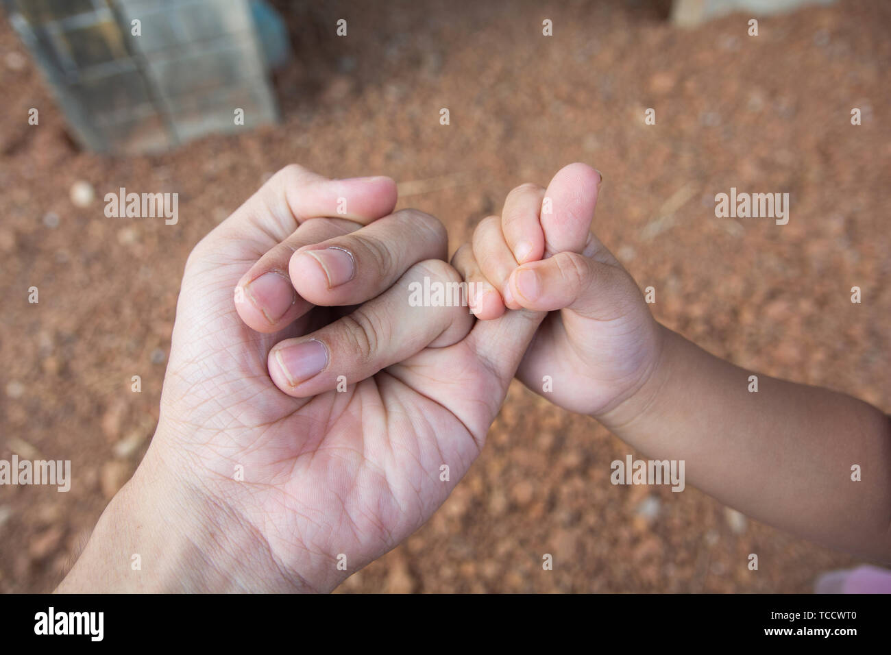 Child shaking hands with adult hi-res stock photography and images - Alamy