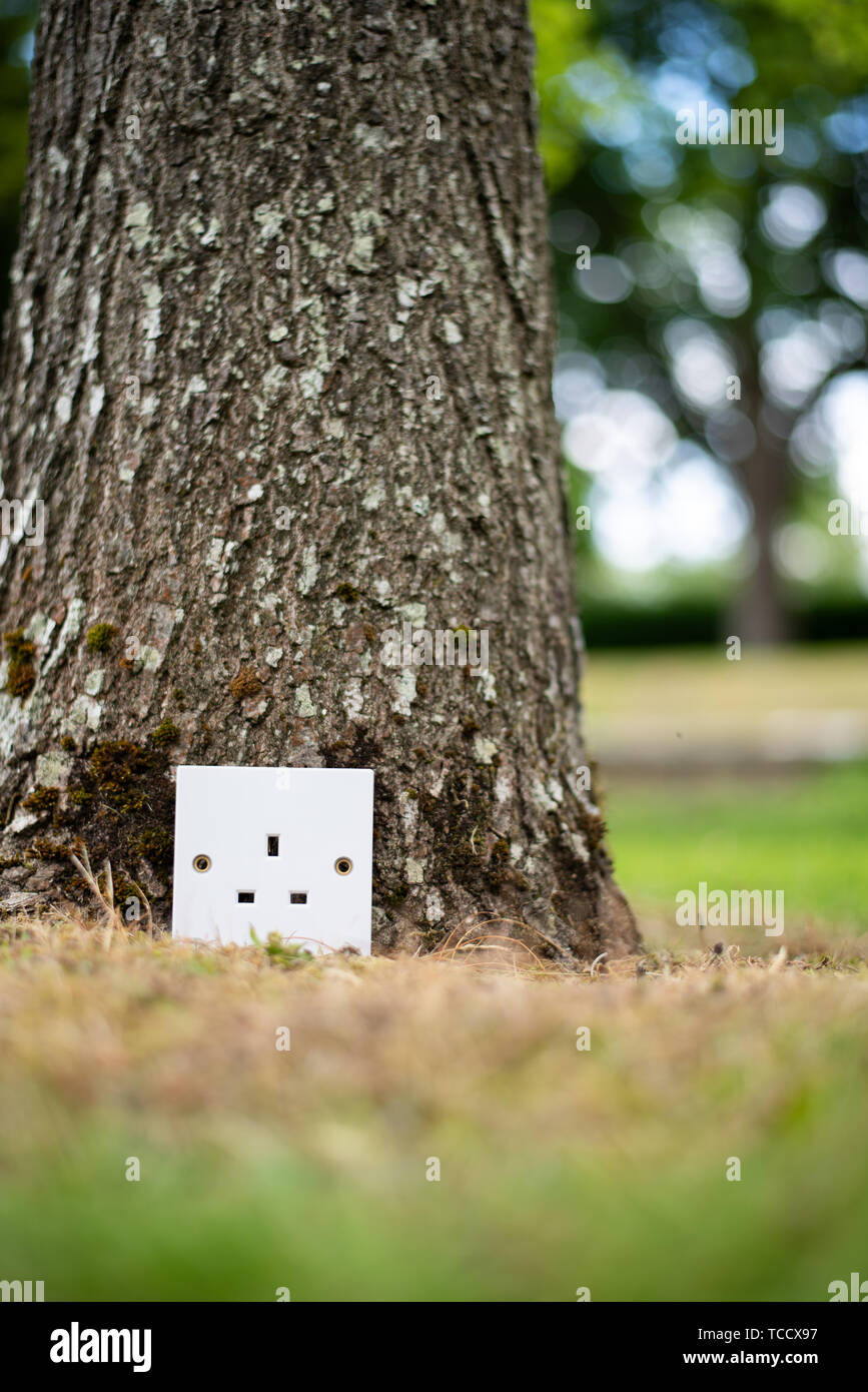 UK Power socket in a tree. Ecological concept, symbolizing renewable ...