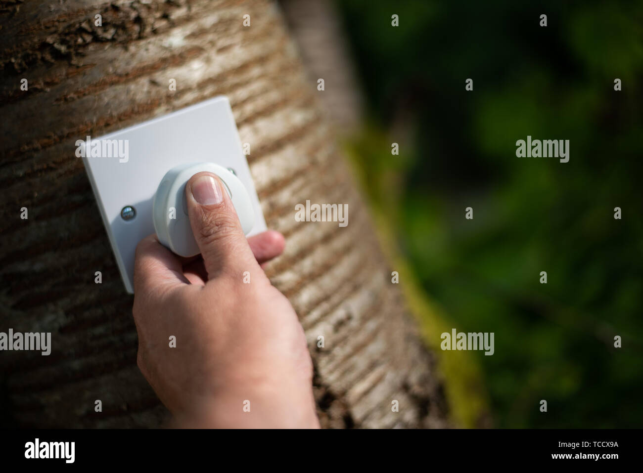 Man inserting UK plug into Power socket in a tree. Ecological concept ...