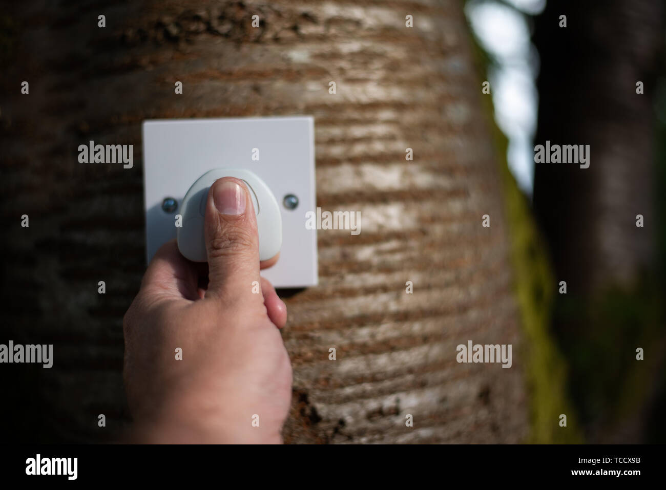 Man inserting UK plug into Power socket in a tree. Ecological concept ...