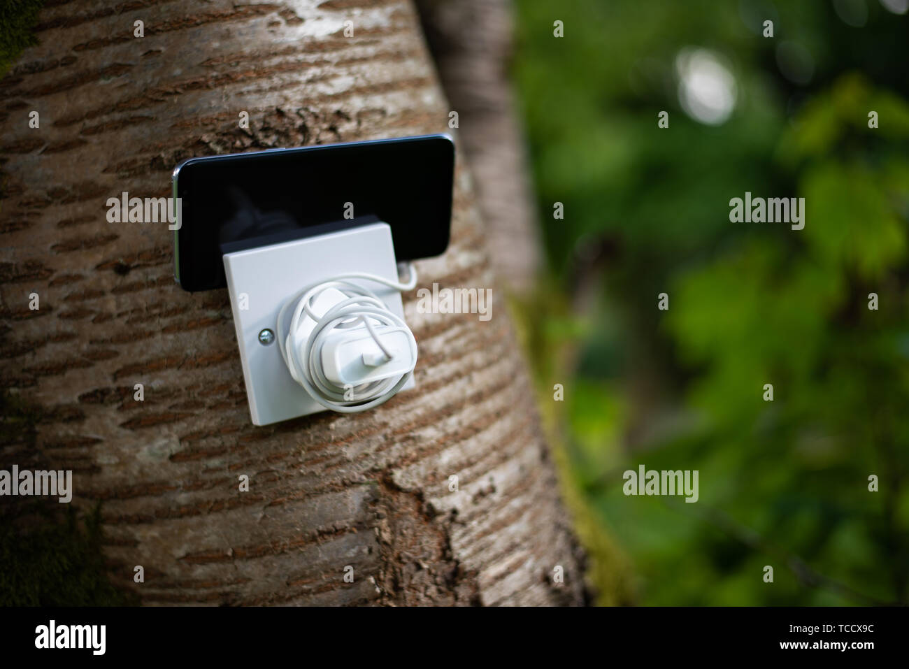 USB electrical plug in a Power socket in a tree. Ecological concept ...