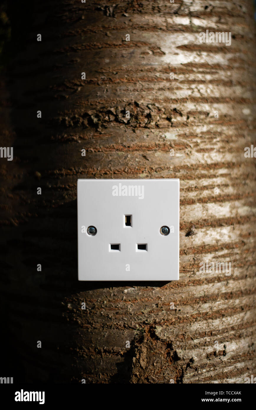UK Power socket in a tree. Ecological concept, symbolizing renewable ...
