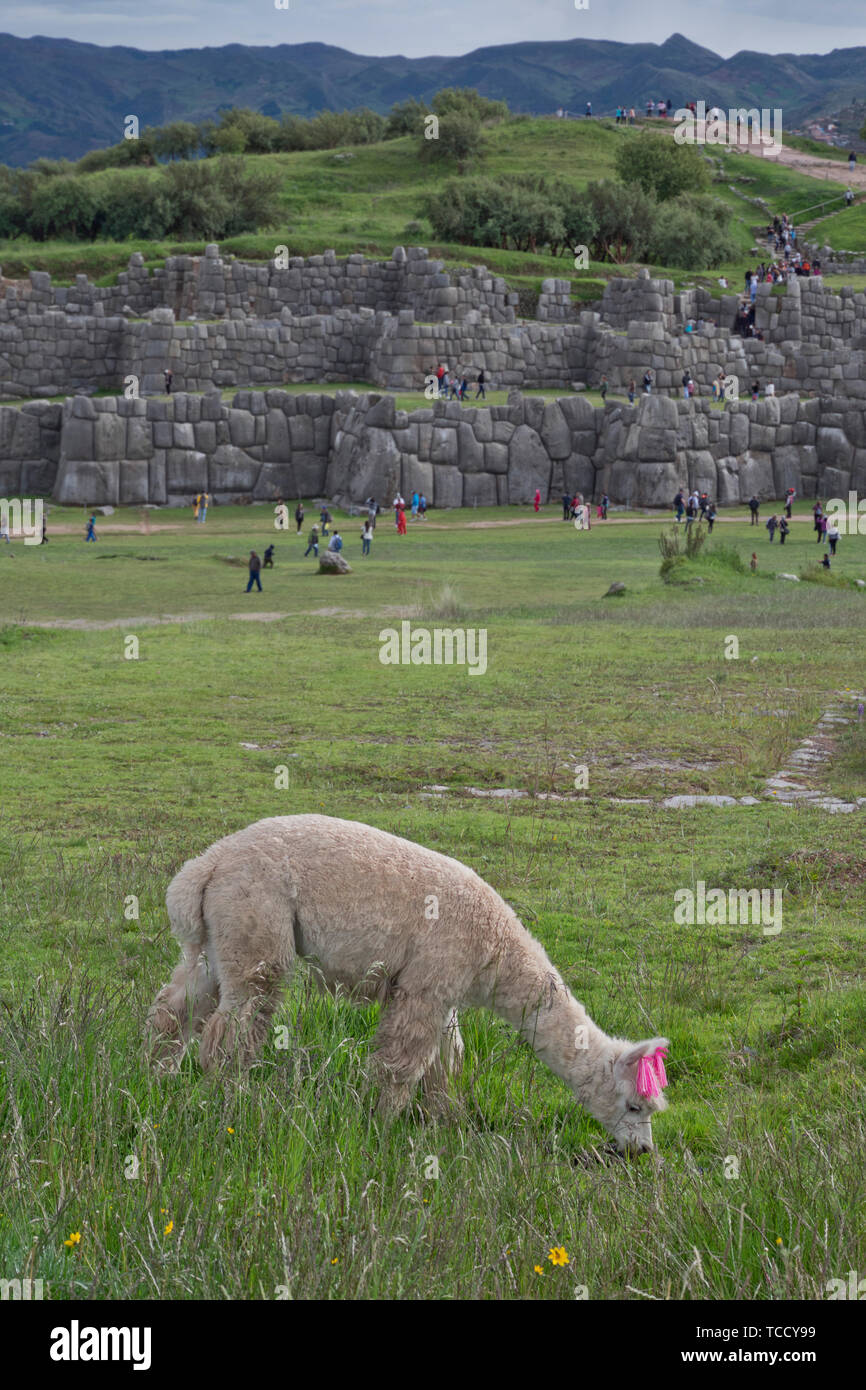 Citadel of Sacsahuayman, a native Inca complex surrounded by walls that ...