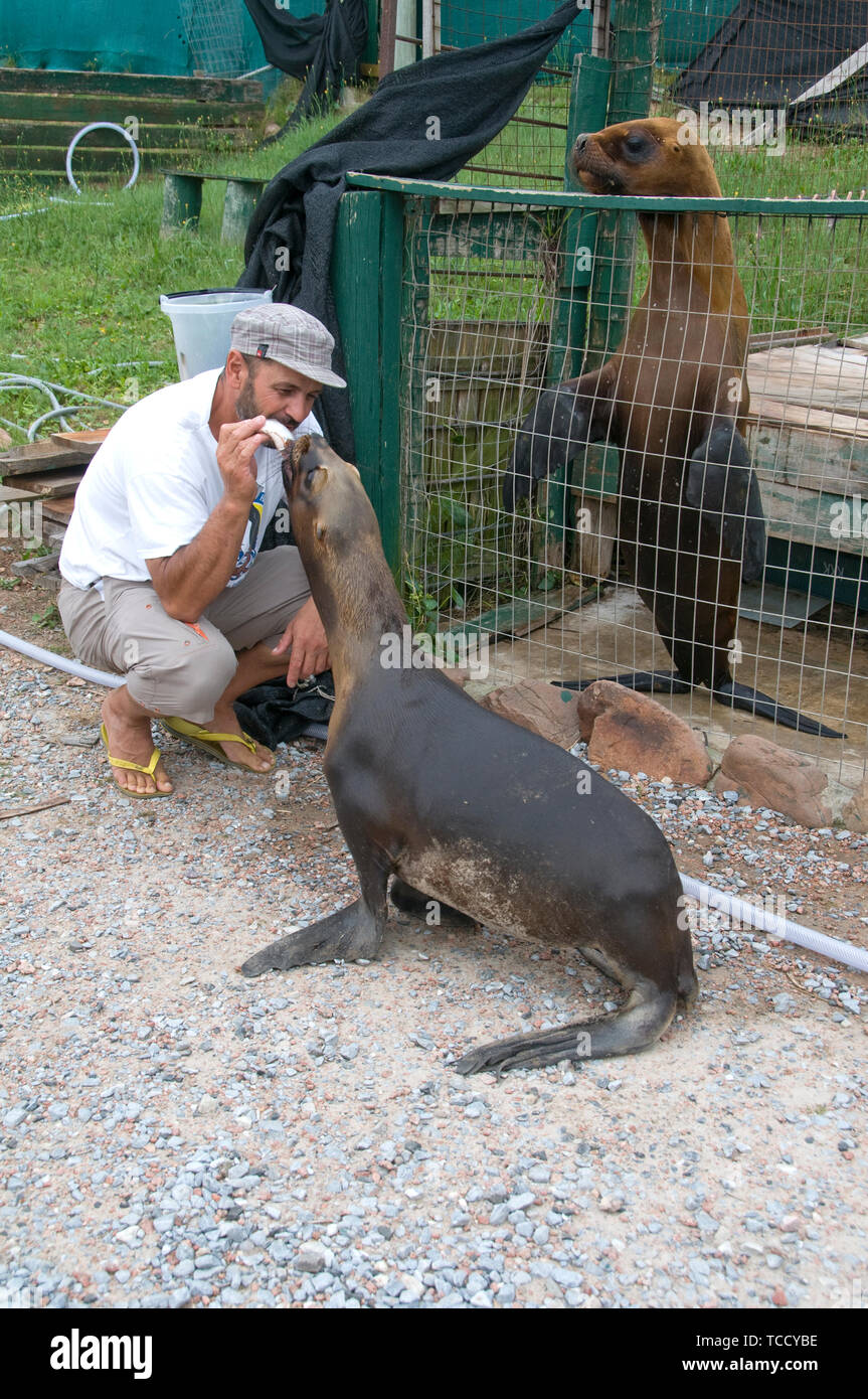 URUGUAY. SEA LION RESCUE CENTRE IN PUNTA COLORADA Photo by Julio ...