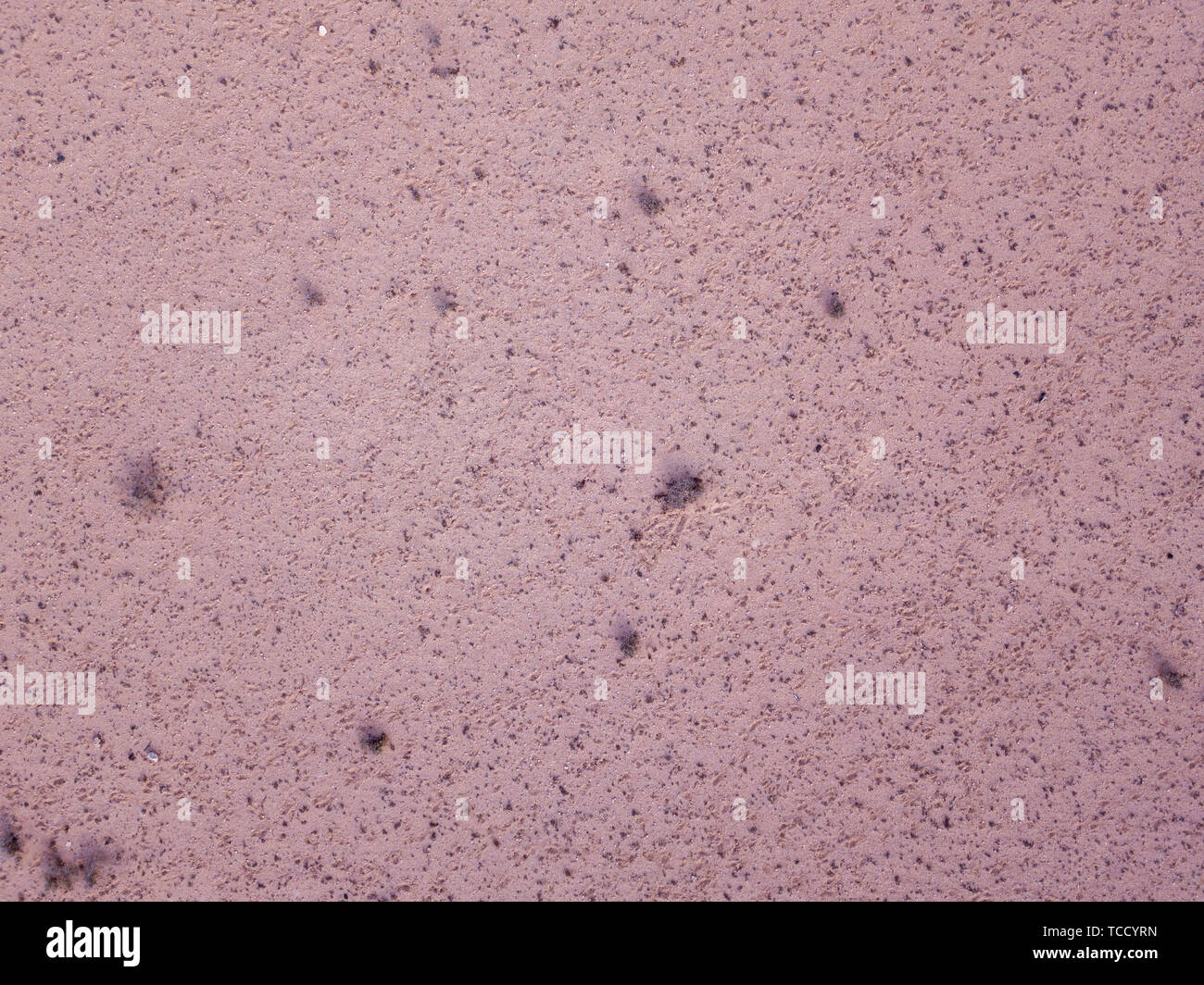 African landscape background hi-res stock photography and images - Alamy