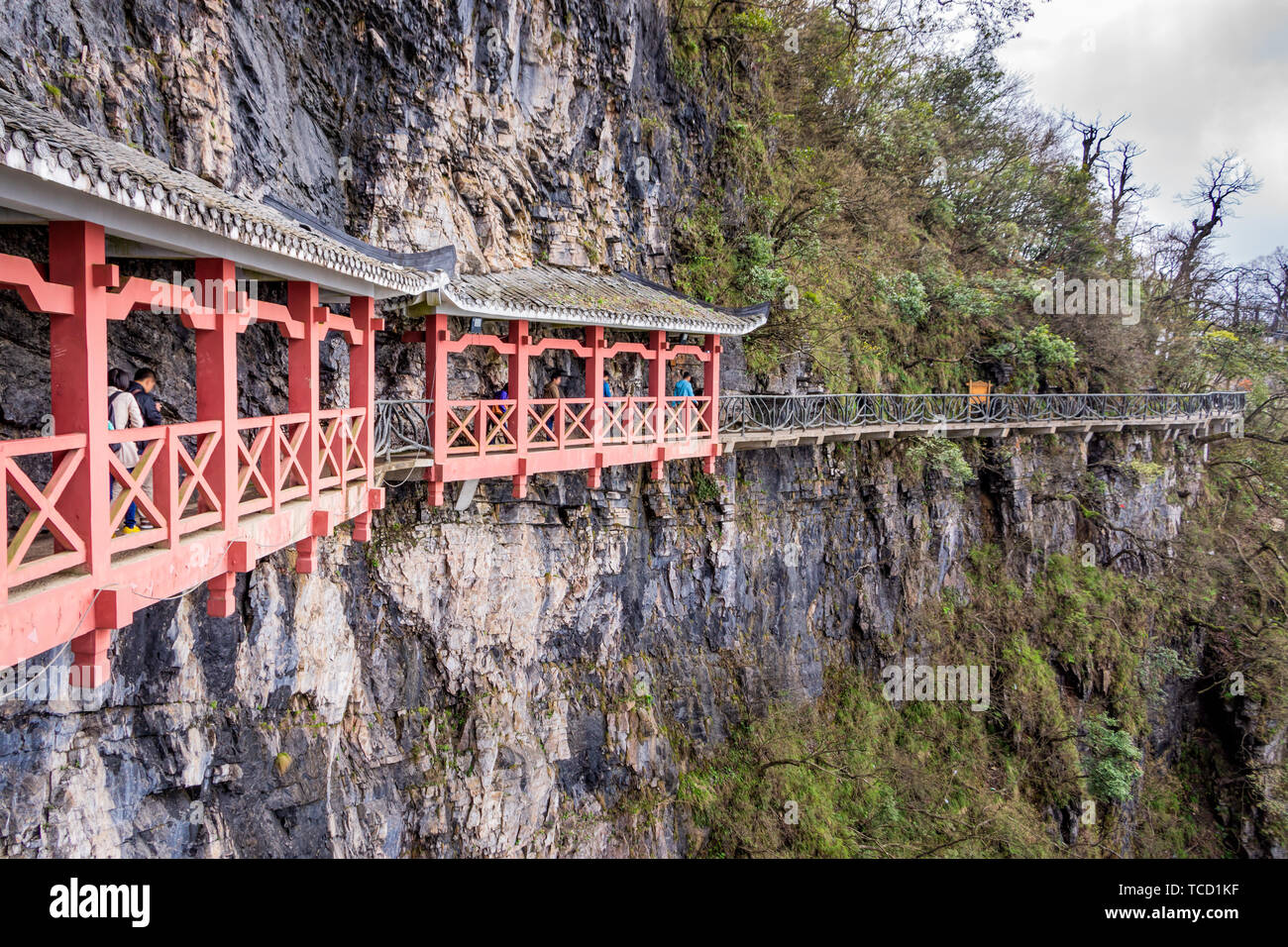 Many tourists walking on the Sky Walk at Tianmen Mountain, very high ...