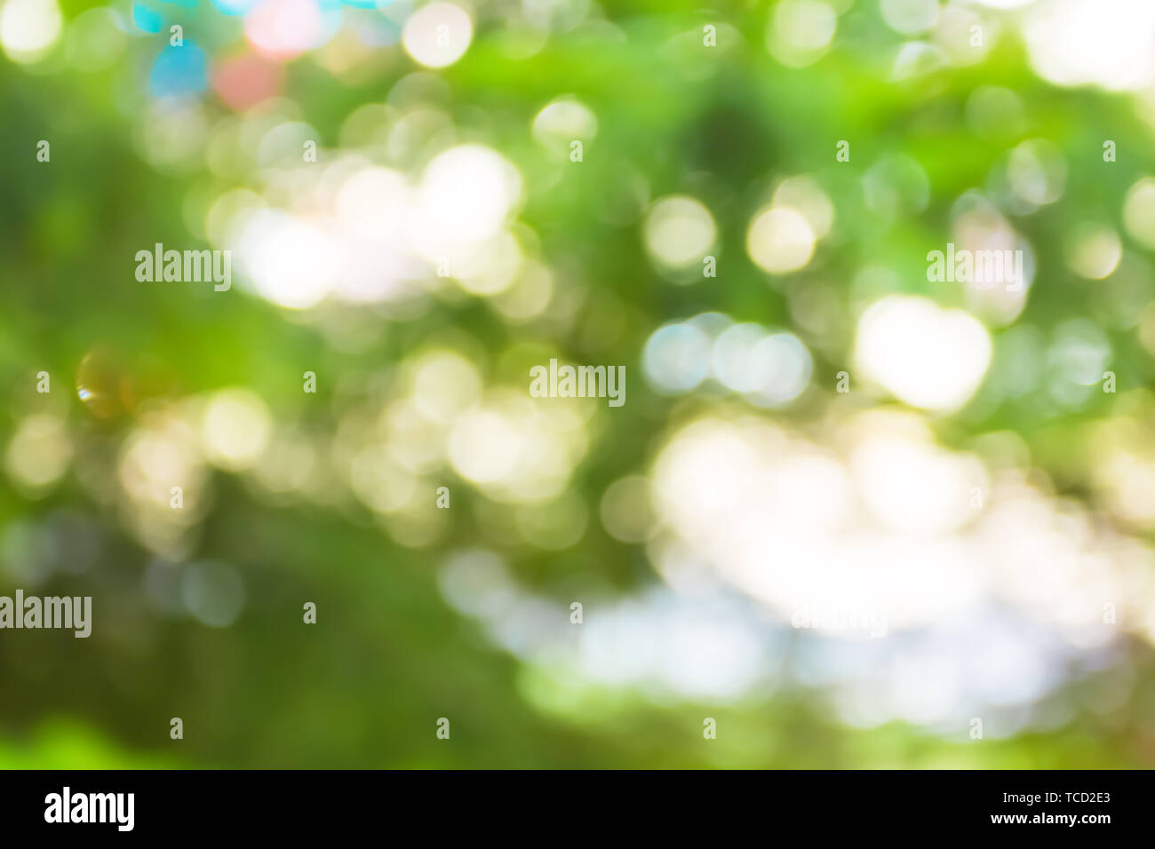Blurred Nature Background Stock Photo - Alamy