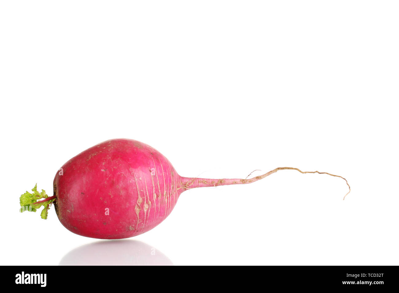 Pink stem radish hi-res stock photography and images - Alamy