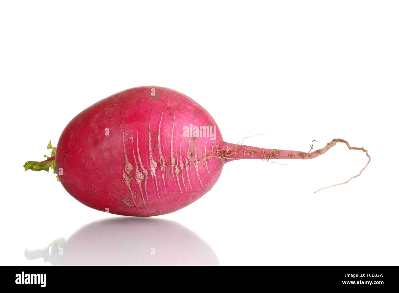 Pink stem radish hi-res stock photography and images - Alamy