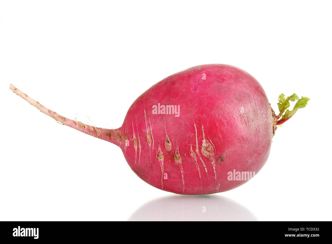 Pink stem radish hi-res stock photography and images - Alamy