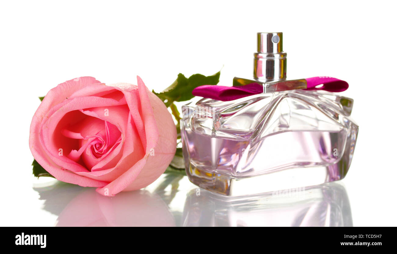 Perfume bottle and pink rose isolated on white Stock Photo - Alamy