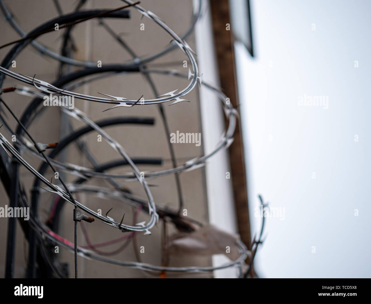 Barbed wire on farm gate hi-res stock photography and images - Alamy