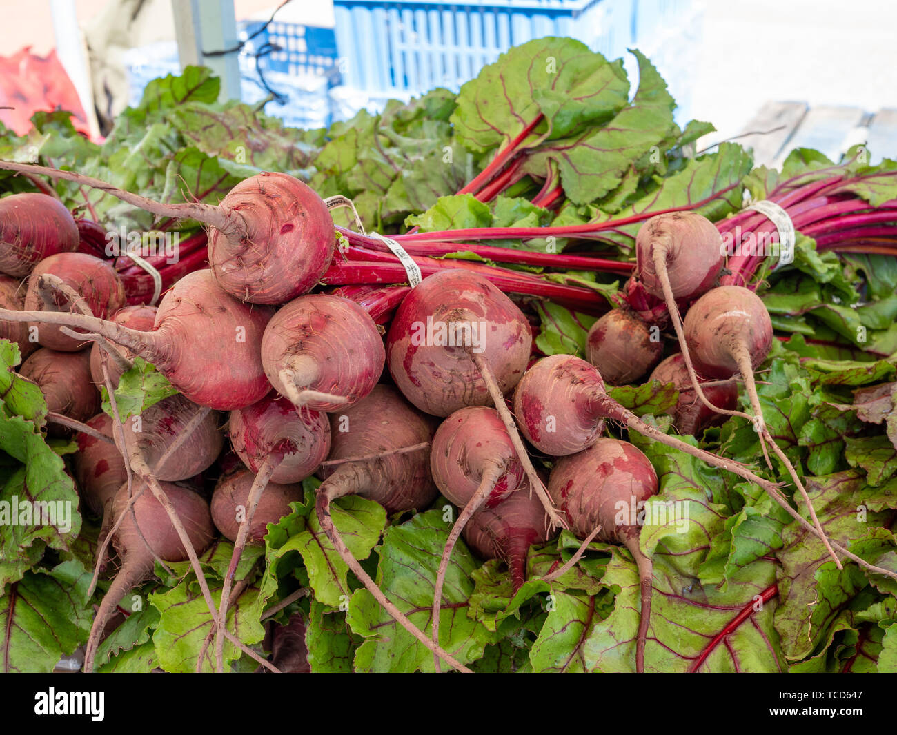 Beets sitting on table on display at an outdoor grocery mart Stock ...
