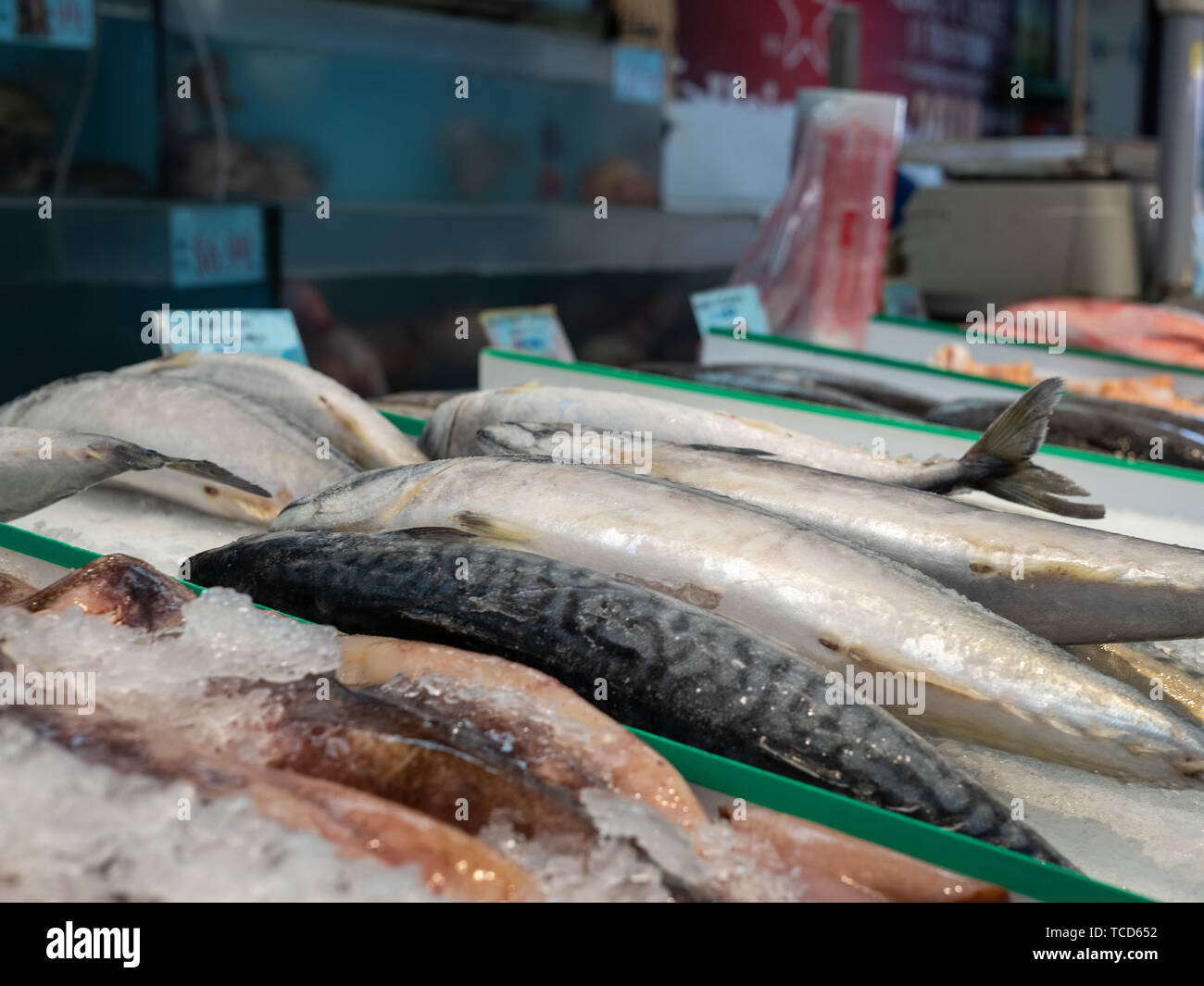 Various oysters hi-res stock photography and images - Alamy