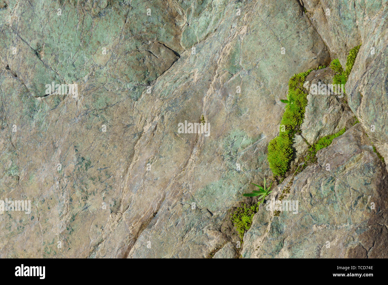 natural granite rock background Stock Photo - Alamy