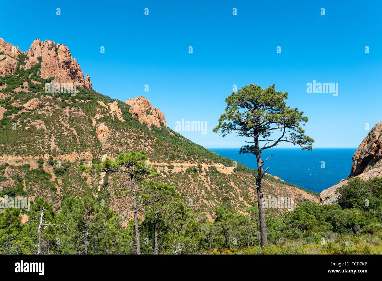 Antheor cap roux hi-res stock photography and images - Alamy
