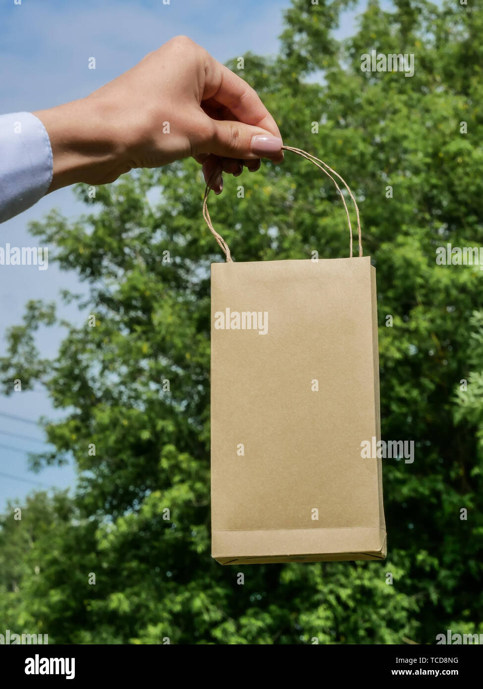 Hand holding paper forest hi-res stock photography and images - Alamy