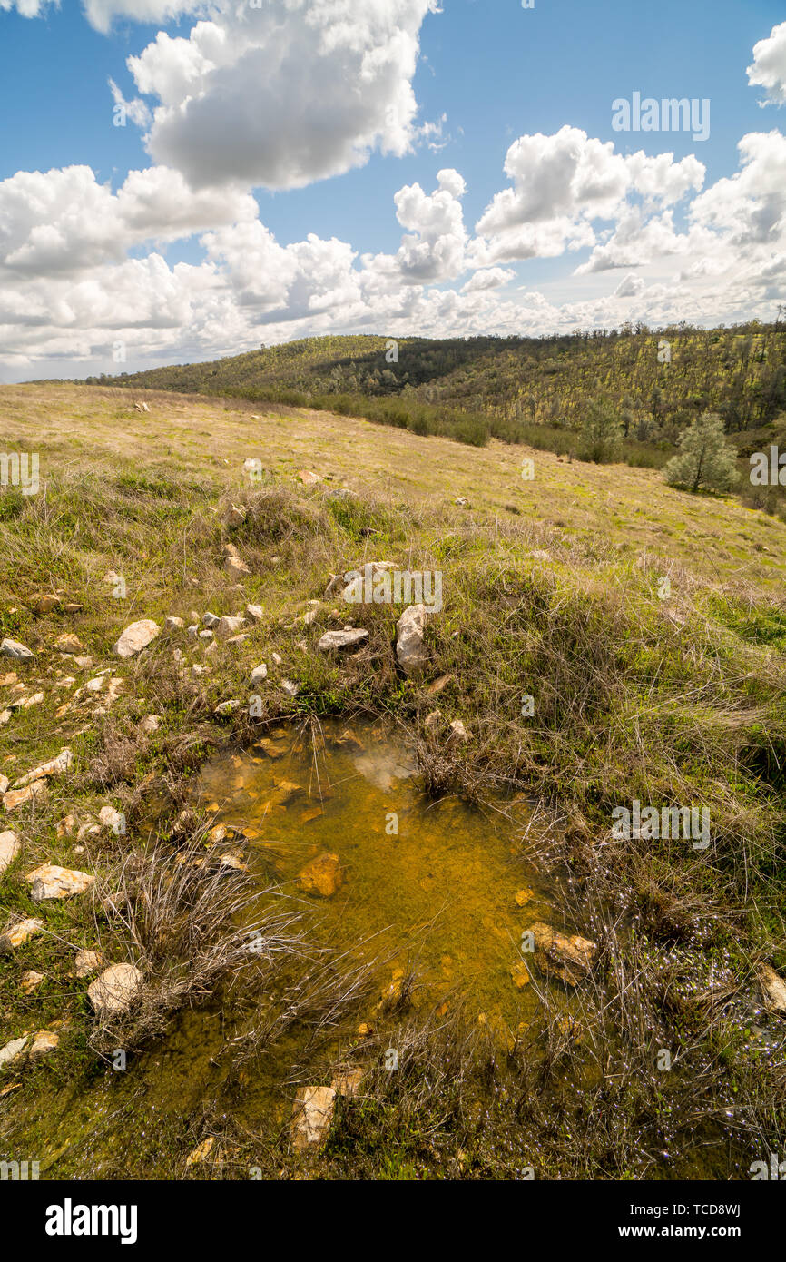 Landscape of hills covered with grass and little rocks with grove on ...
