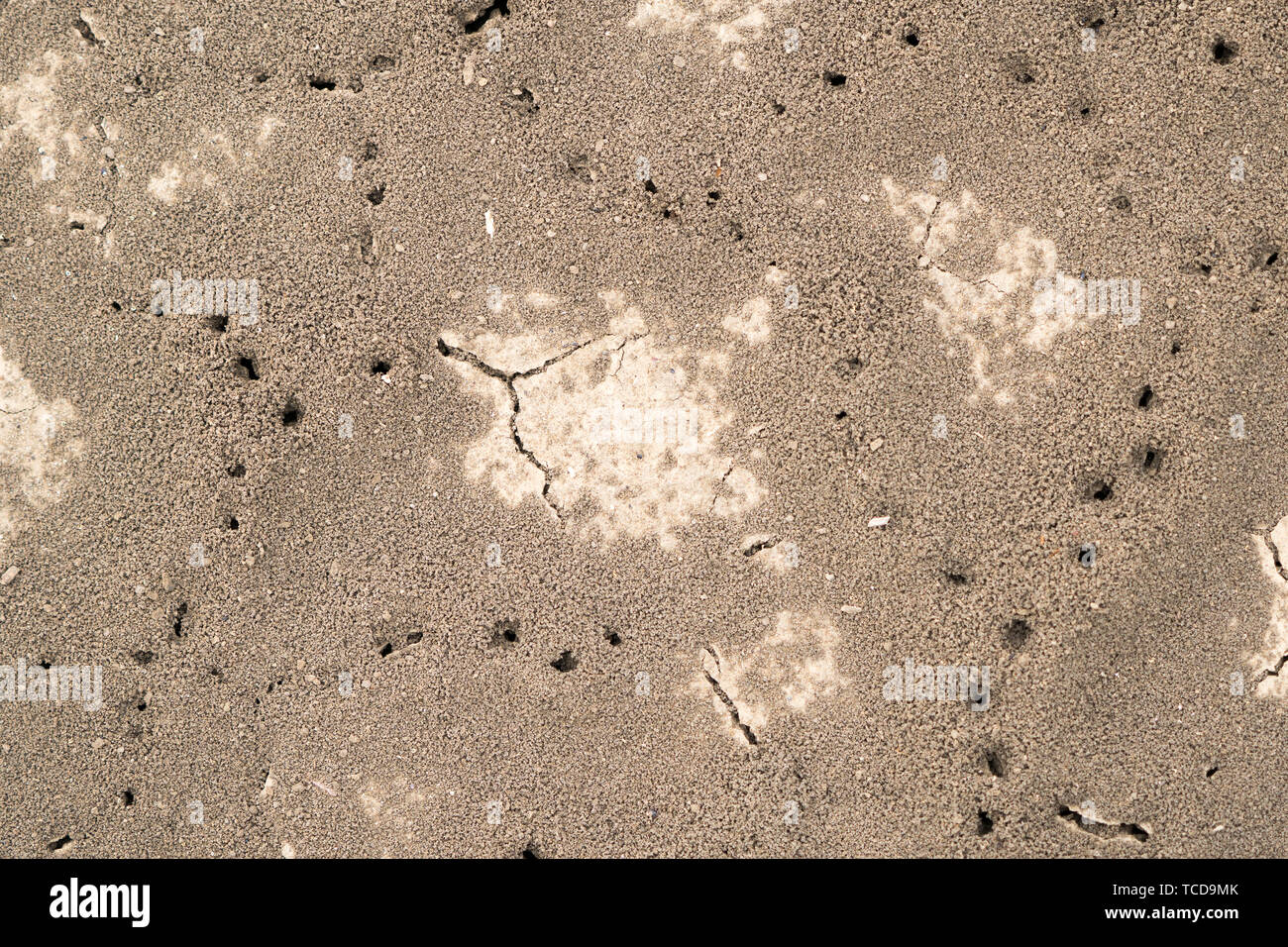 Ant holes hi-res stock photography and images - Alamy
