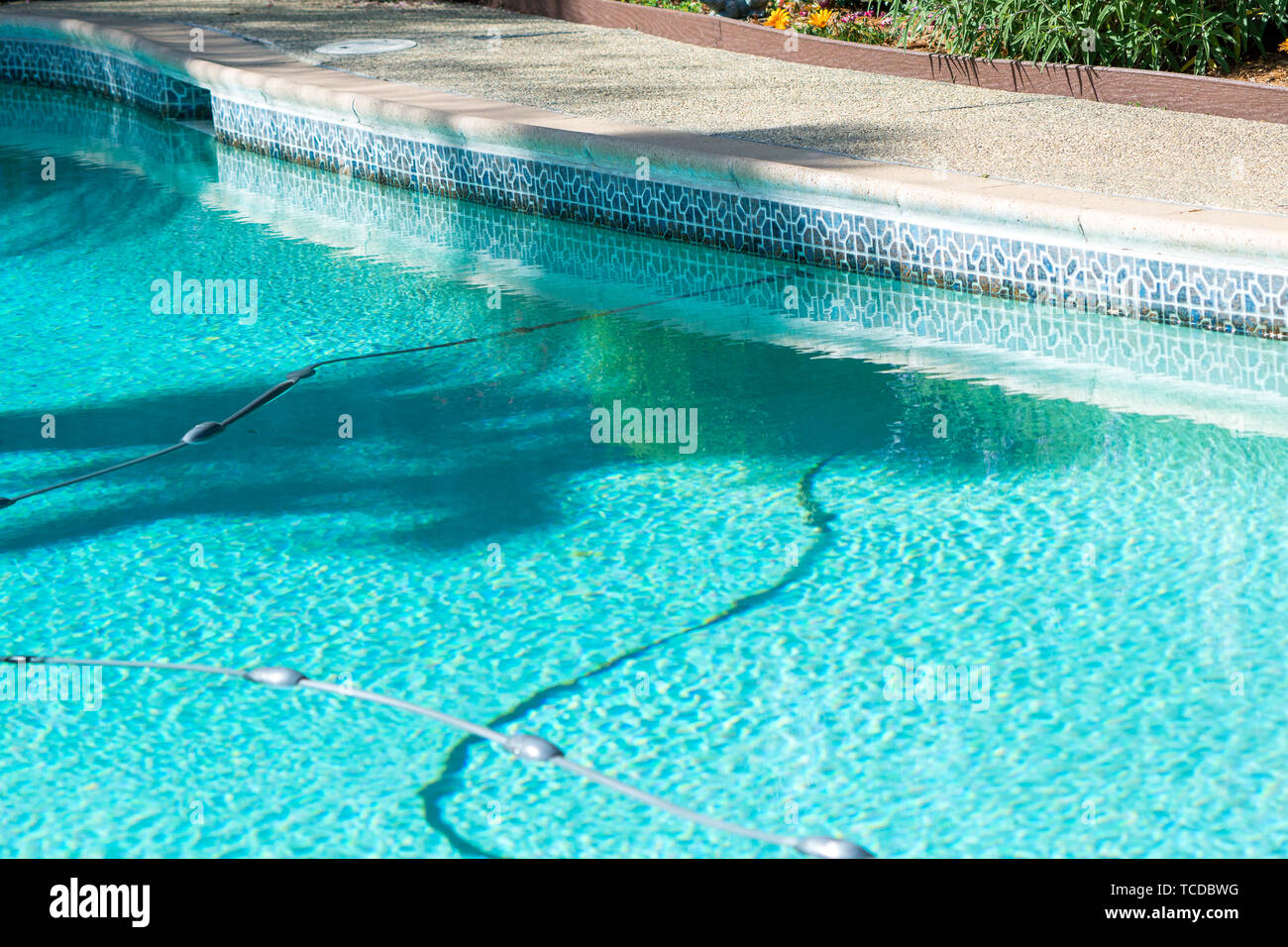 Backyard swimming pool floating cleaning equipment Stock Photo - Alamy