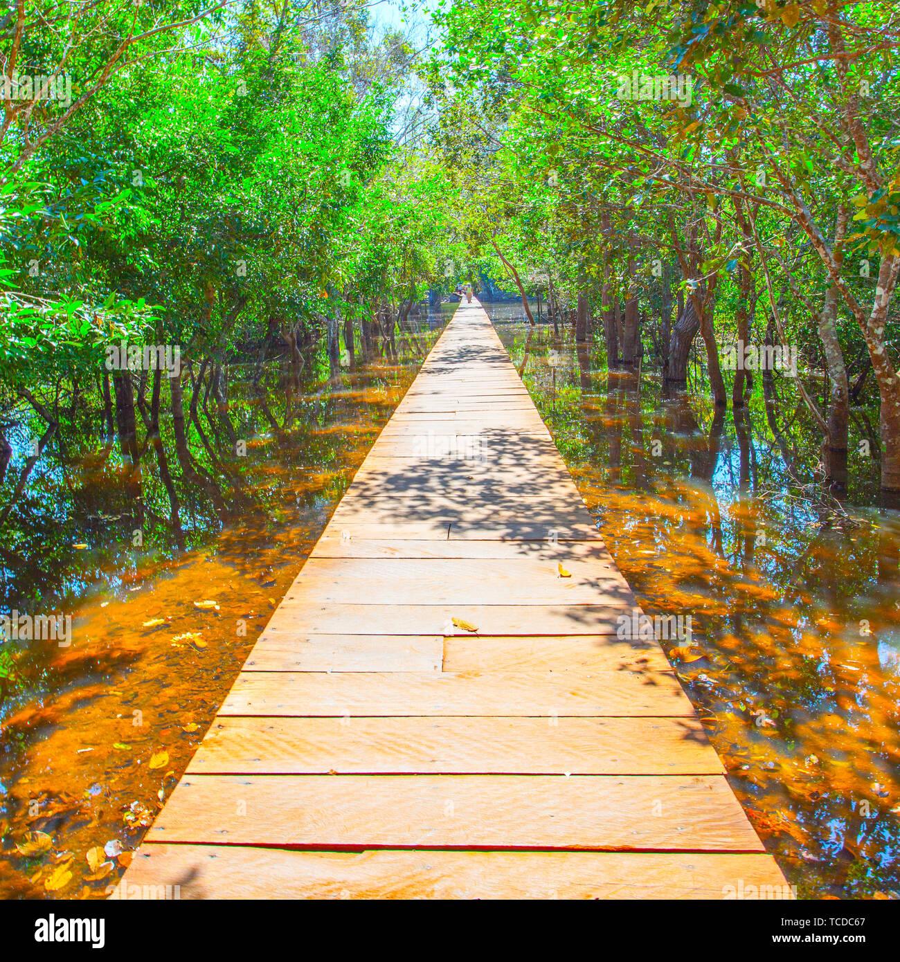 Perspective of wooden footpath over water Stock Photo - Alamy