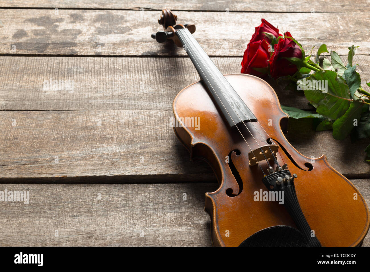 Red roses and a violin Stock Photo - Alamy